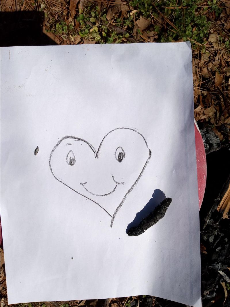 15 Fun DIY Outdoor Projects for Kids - The Backyartisan