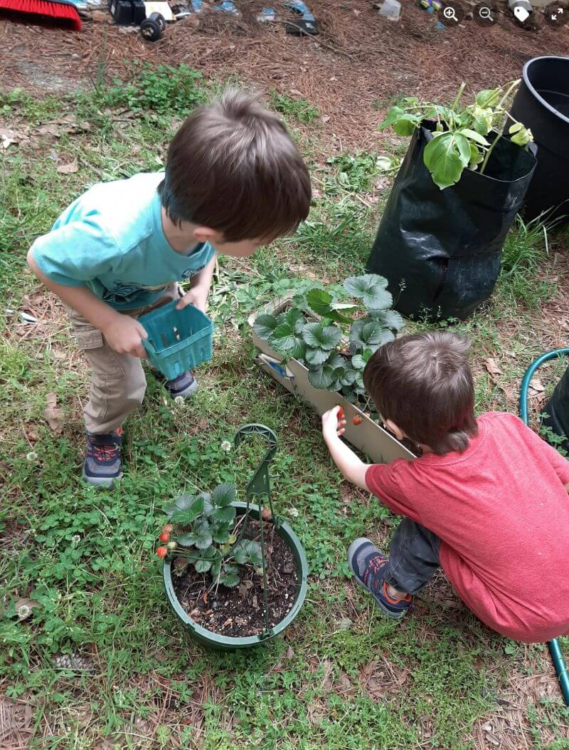 23 Summer Outdoor Activities Ideas for Kids - The Backyartisan